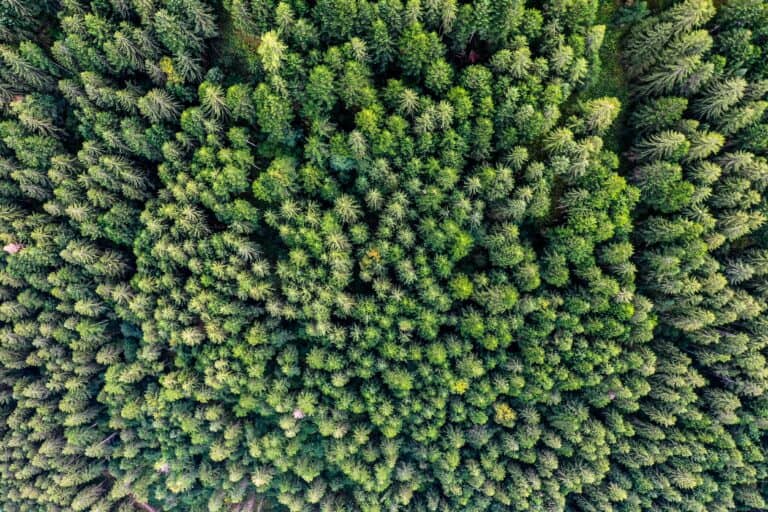 How to become an environmental journalist - Green Careers Hub